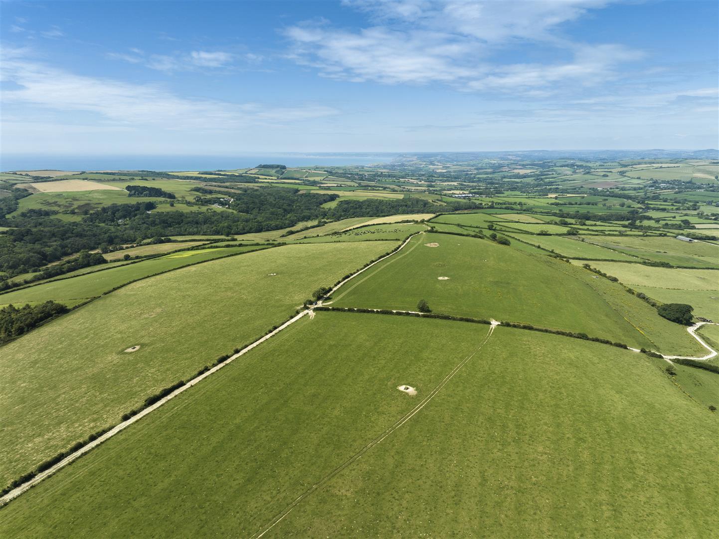 Farms & Land for sale - Estate Agents, Auctioneers & Chartered ...