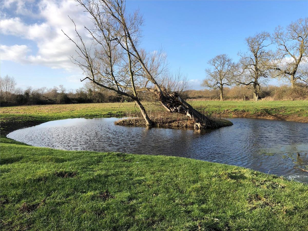 Properties for sale - Moore Allen & Innocent Estate Agent | Property ...