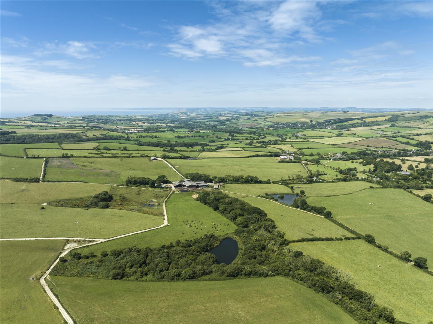 Farms & Land for sale - Estate Agents, Auctioneers & Chartered ...