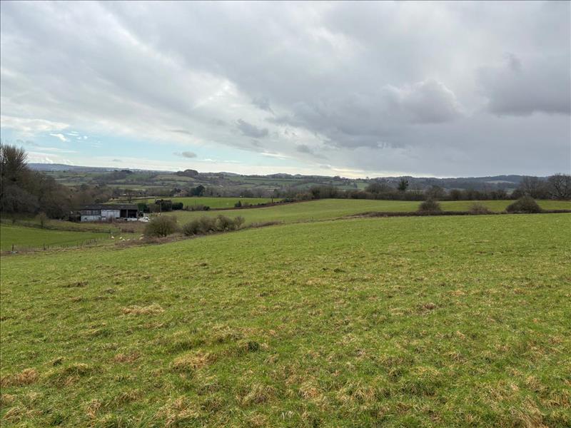 Farm Business Tenancy | Symonds & Sampson