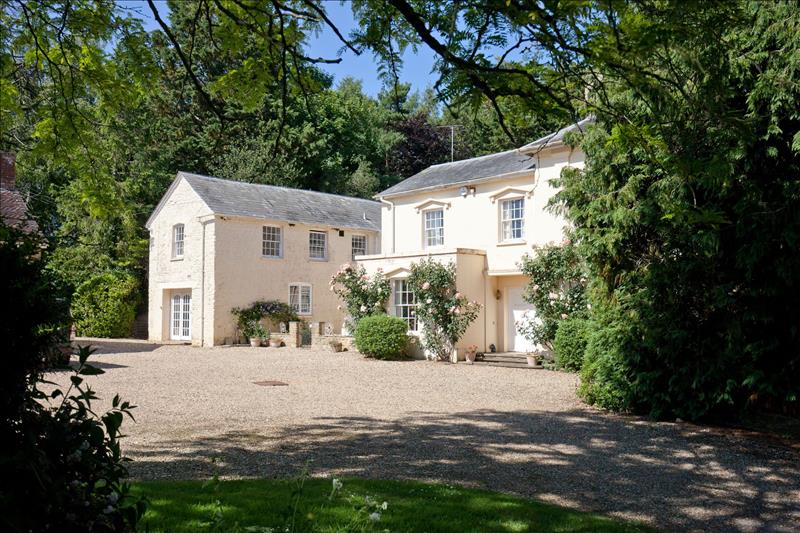 Dorset Stud Farm Comes To The Market| Symonds & Sampson LLP