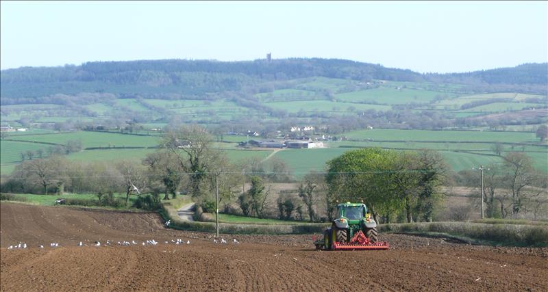 Colaton Raleigh Ploughing Match | Symonds & Sampson LLP